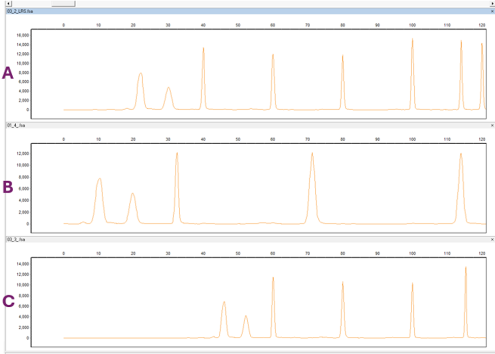 How do I manually perform size calibration? – SoftGenetics