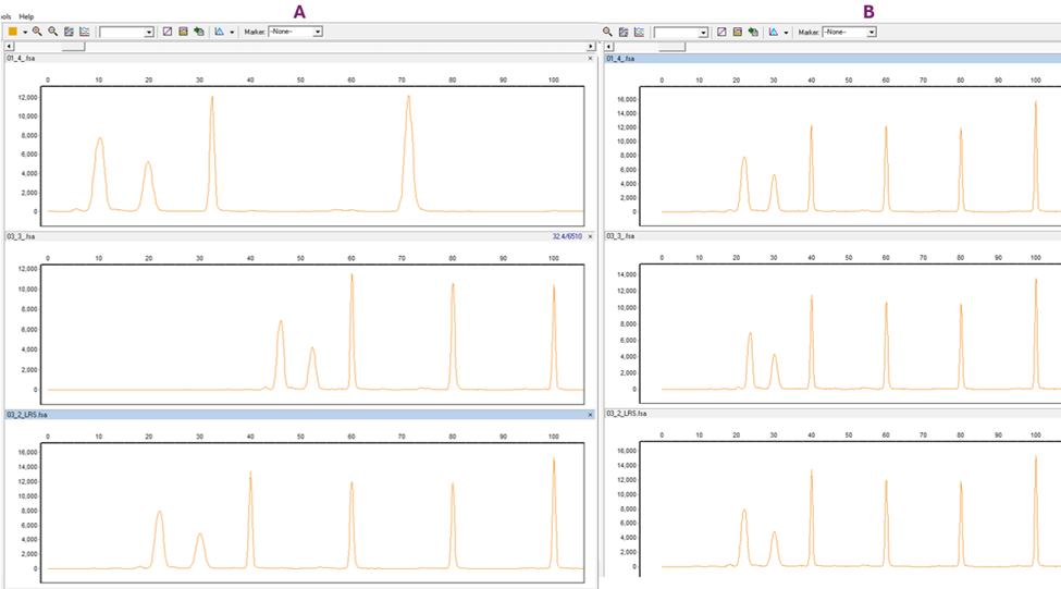 How do I manually perform size calibration? – SoftGenetics